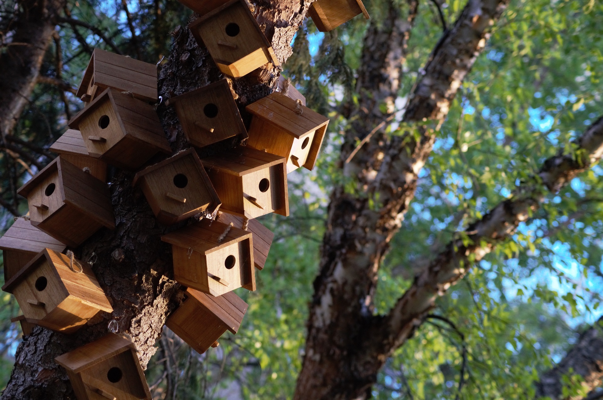 Sebastian Basaldua | Technical Creative Director