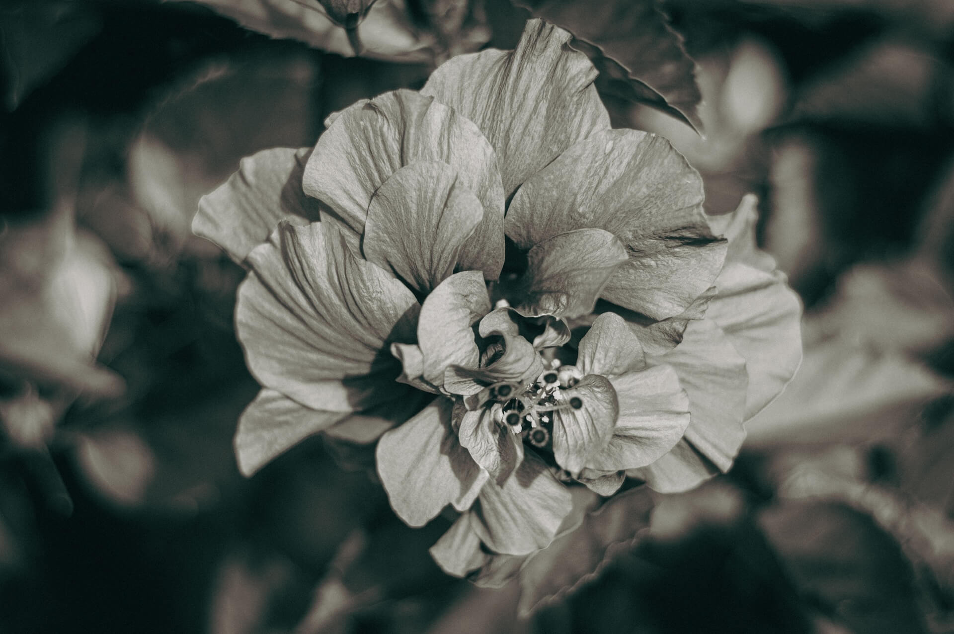 Sebastian Basaldua | Technical Creative Director